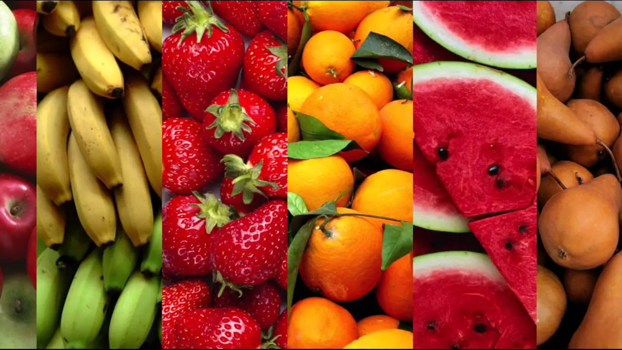 Alimentos transgénicos: ¿Son saludables para nuestros hijos?