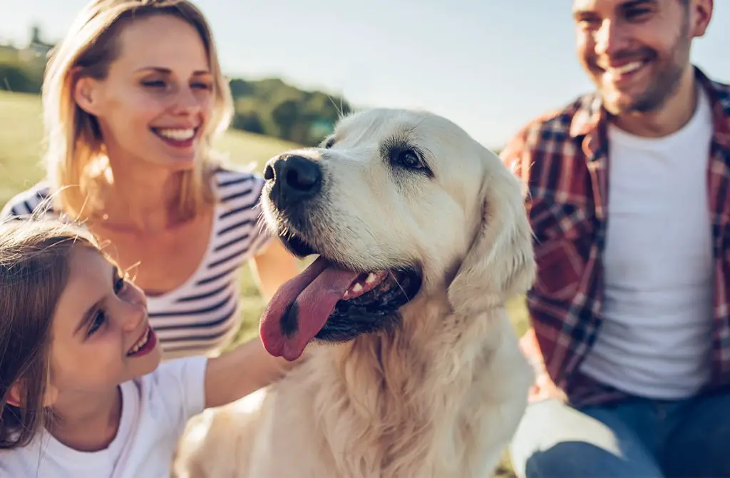 Mascotas: Beneficios emocionales y de salud para tu hijo