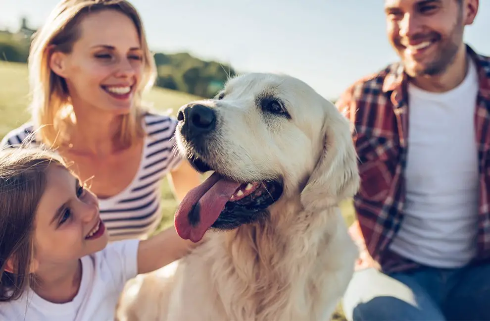 Mascotas: Beneficios emocionales y de salud para tu hijo