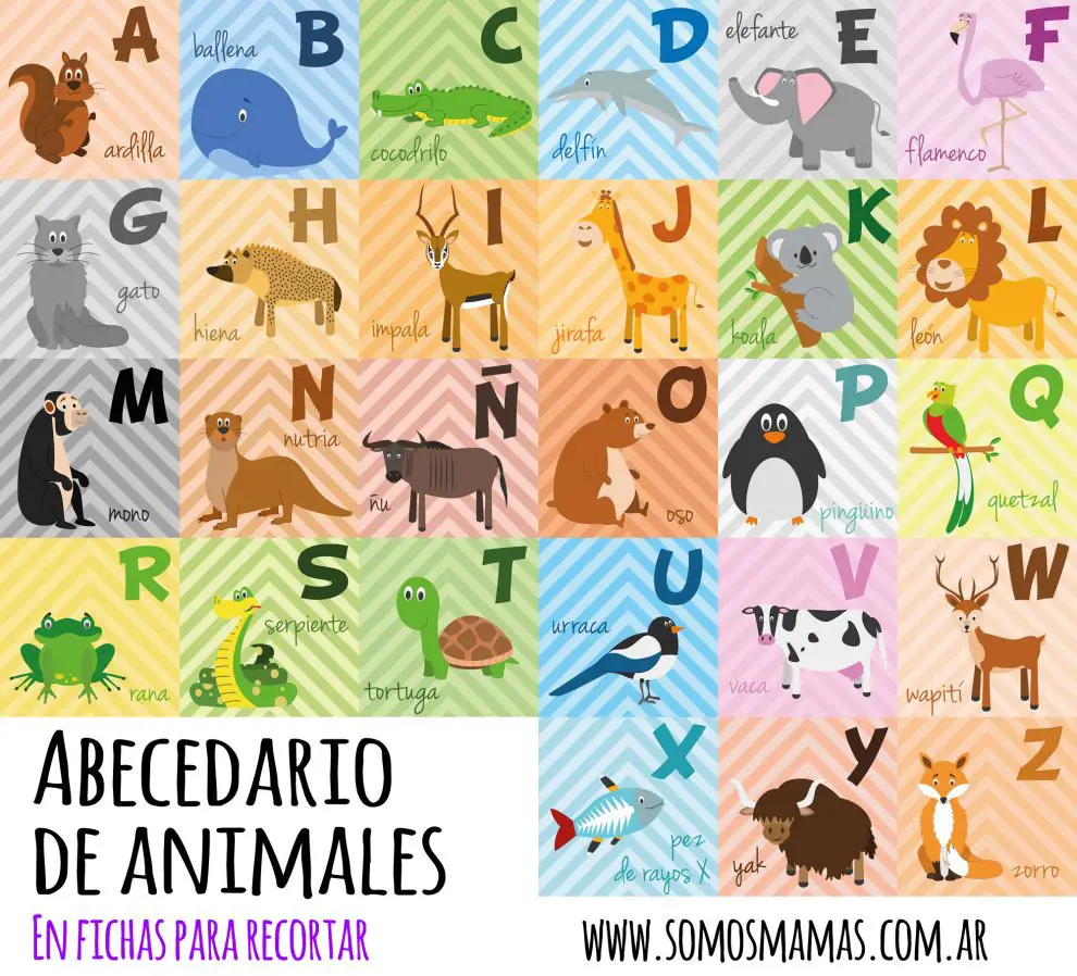 Abecedario para niños: ️15+ Maneras divertidas de aprender las letras