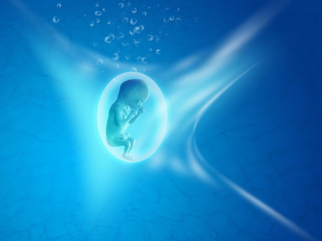 ¿El alma del bebé elige a sus padres antes de nacer?????¿Es posible?