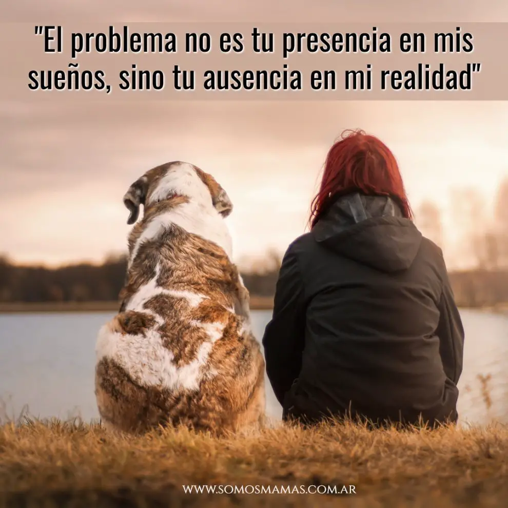 ¡Enamora en tus redes sociales! Estados y Frases de amor para facebook