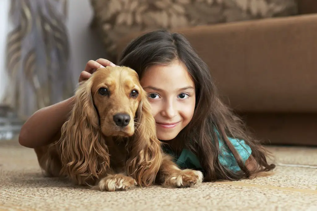 Animales para niños (domésticos y salvajes) ¡Tipos, características y ...