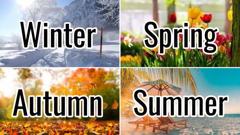 Estaciones del año en ingles: Vocabulario + ejemplos para enseñar el ...
