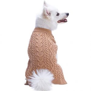 Trajes para perros: +22 opciones (adorables) para vestir a tu mascota