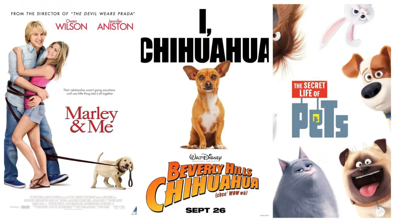 Las 30 mejores películas de perros para un domingo familiar