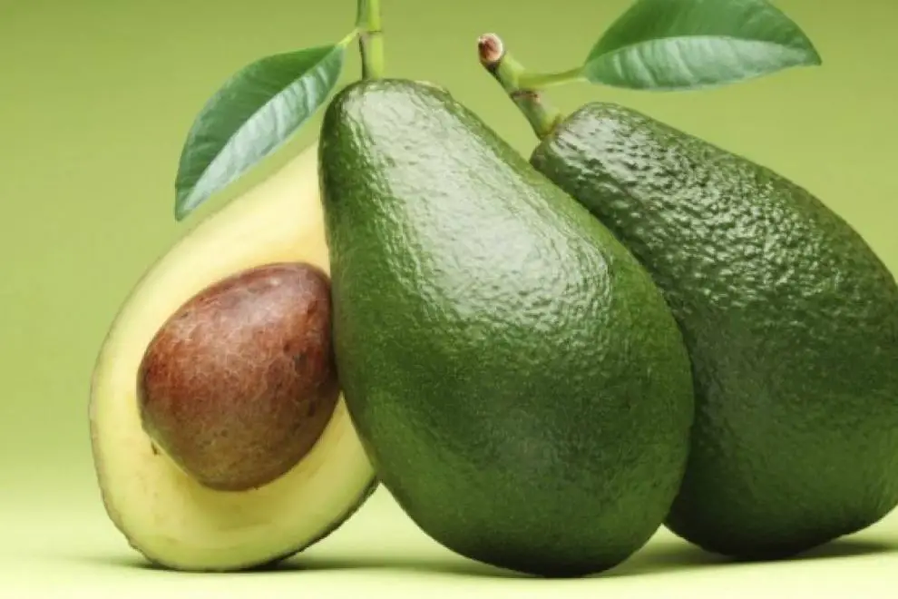 Recetas con palta: +13 comidas fáciles y... 100% deliciosas