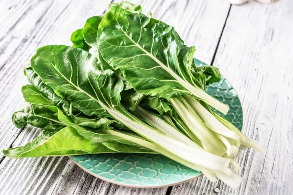 +10 Recetas con acelga ¡Muy ricas! y fáciles de preparar