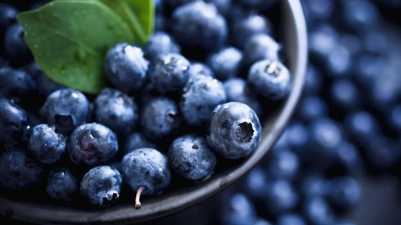 Frutas azules ¿Cuáles son? ¡Descubre sus múltiples beneficios y ...