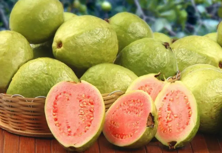 Frutas con vitamina C ¡15 Frutas ricas en vitamina c más allá de la ...