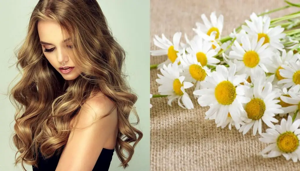 +9 tintes naturales que no maltratan ni dañan tu cabello