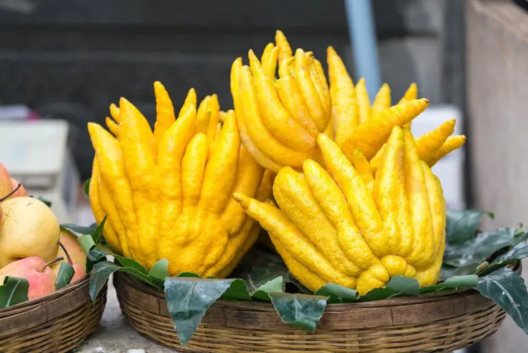 Ranking de las frutas raras y más exóticas que existen ¡Te sorprenderán!
