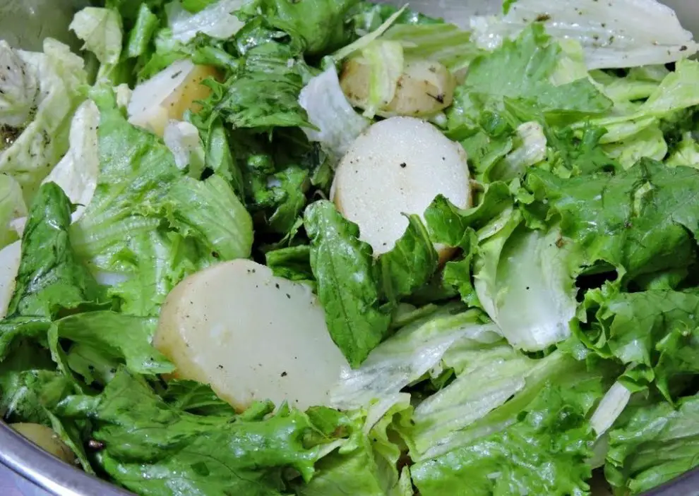 +12 Recetas con lechuga ricas, ligeras y saludables +12 Recetas con lechuga ricas, ligeras y saludables