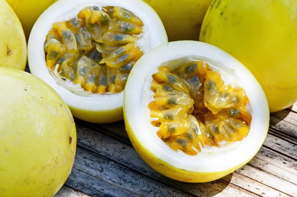 ¿Conoces todas las frutas? ¡Listado de todas las variedades de frutales!