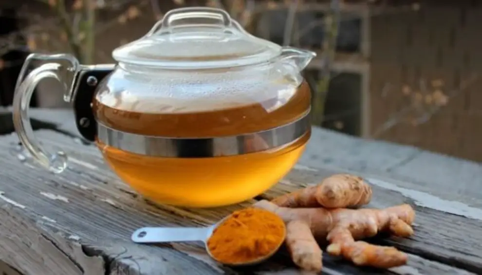 +19 Opciones de té para bajar de peso de manera rápida y natural