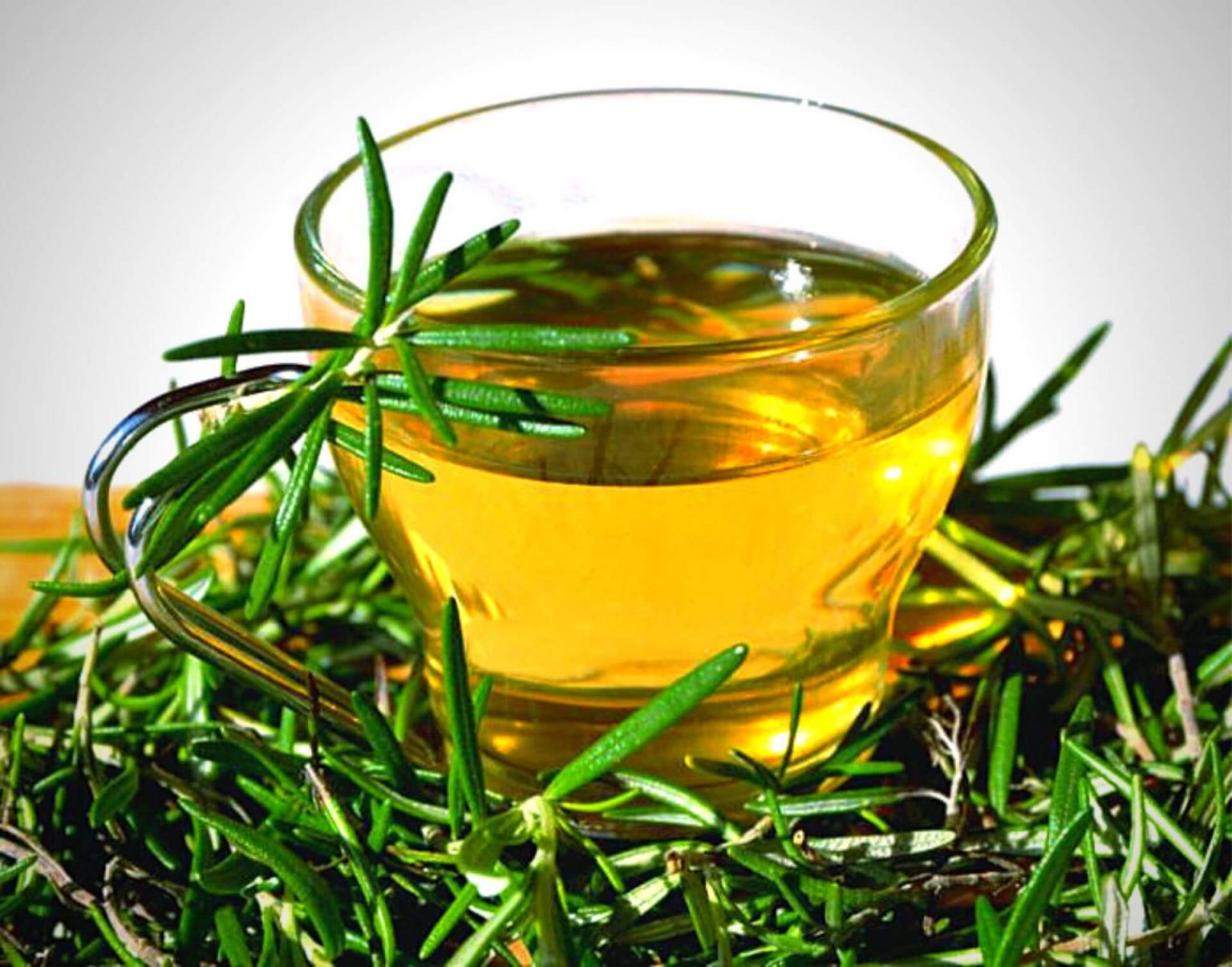 +19 Opciones de té para bajar de peso de manera rápida y natural