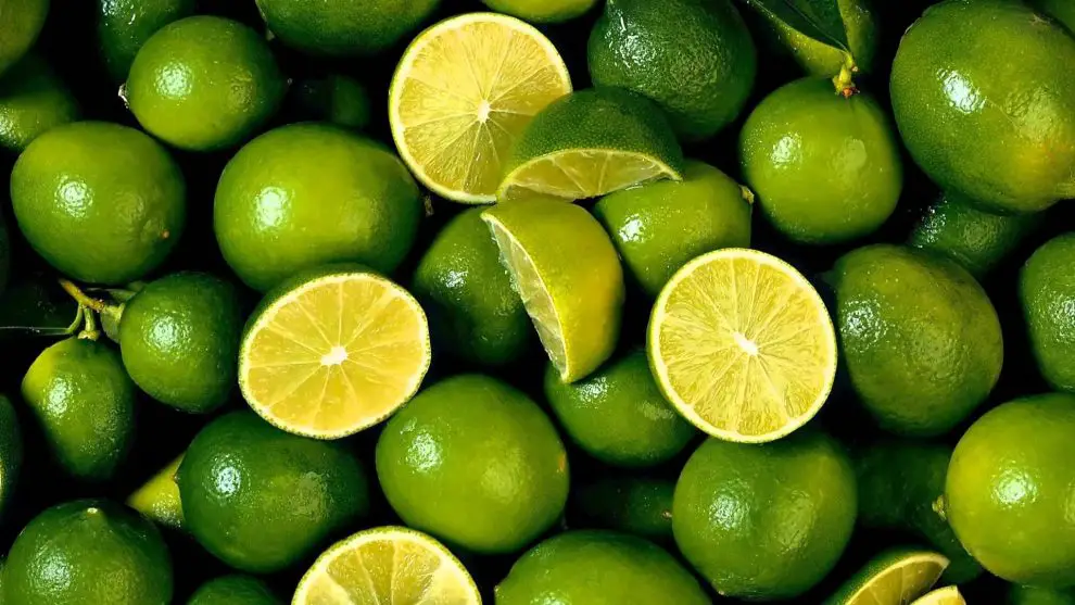 ¿Cuáles son las frutas ácidas? ¡Propiedades y beneficios de los cítricos!