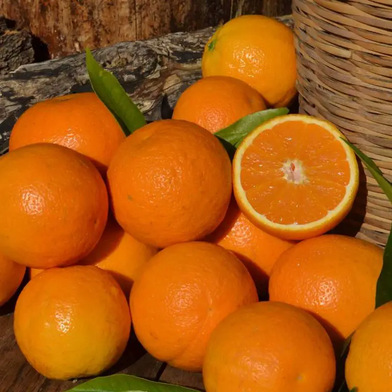 Frutas para bebés ¿Cuáles introducir en la dieta del bebé?