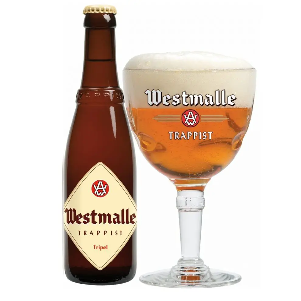 Guía de copas para cerveza: ¿Cuáles elegir?