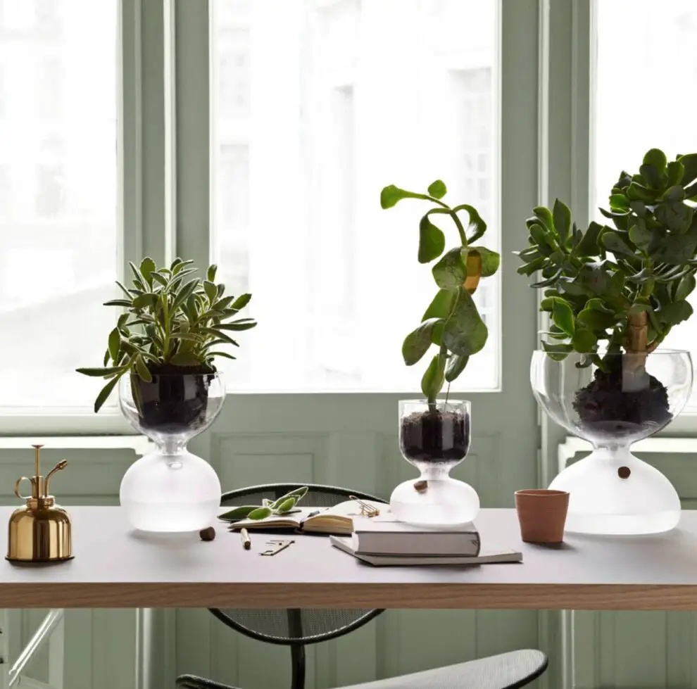 ¿Sabes cuáles son las mejores macetas de interior para tus plantas?