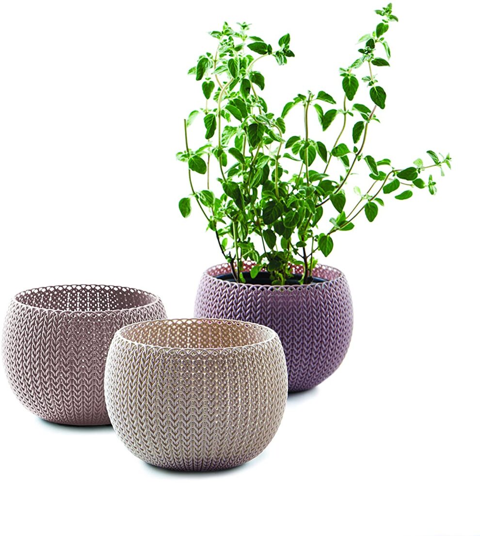 La mejores macetas de interior grandes para plantas altas y frondosas