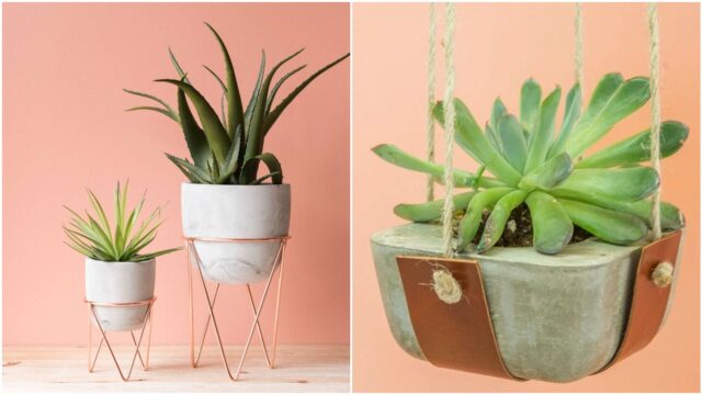 Macetas para plantas de interior ¿Cómo elegir la apropiada?