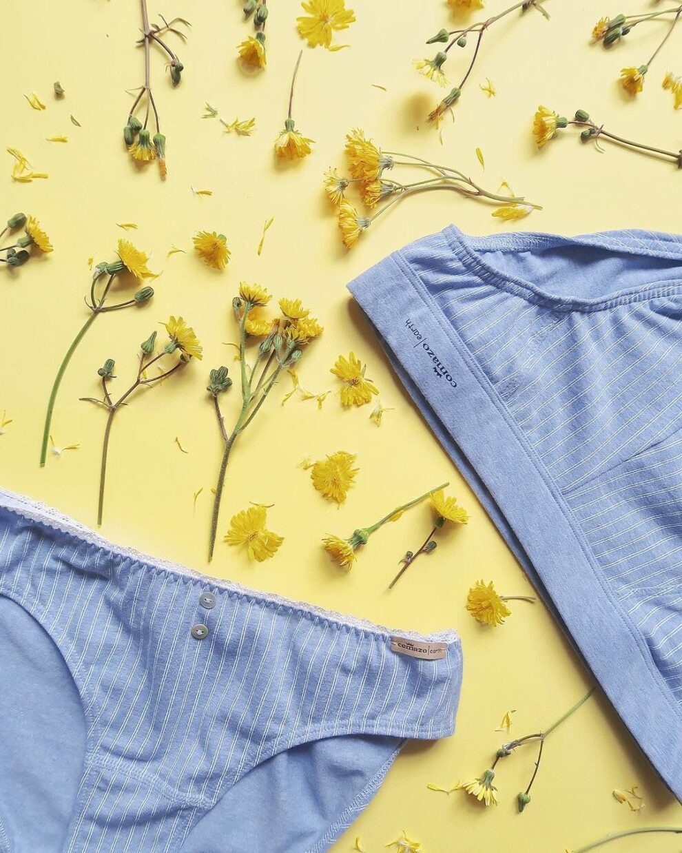 Marcas de ropa interior sostenible que combinan eco-tejidos con comodidad