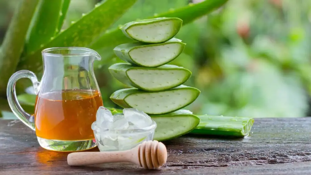 Cabello reseco ¿Cómo cuidarlo y repararlo en casa?