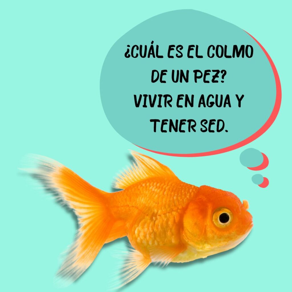 Los mejores y más divertidos colmos para niños